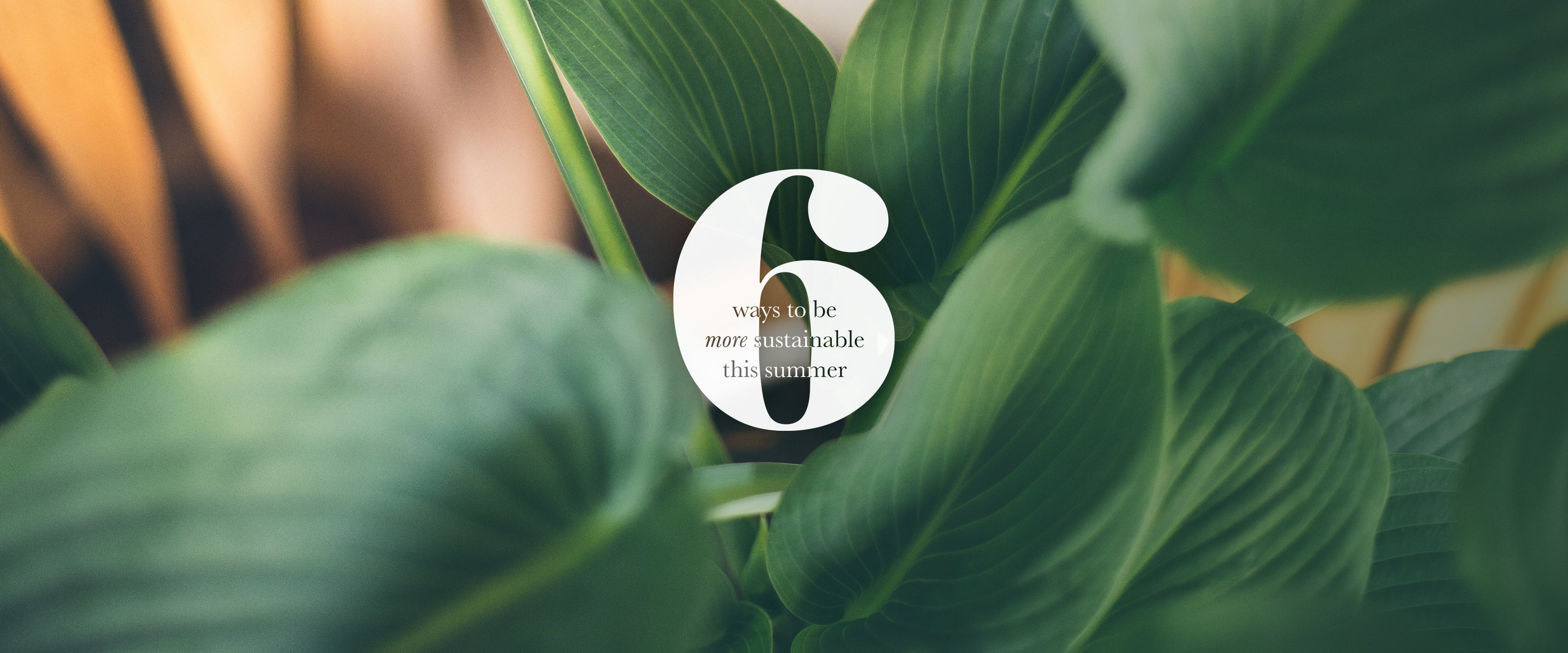 Tom Raffield | Luxury British Wooden Lighting & Furniture Designer