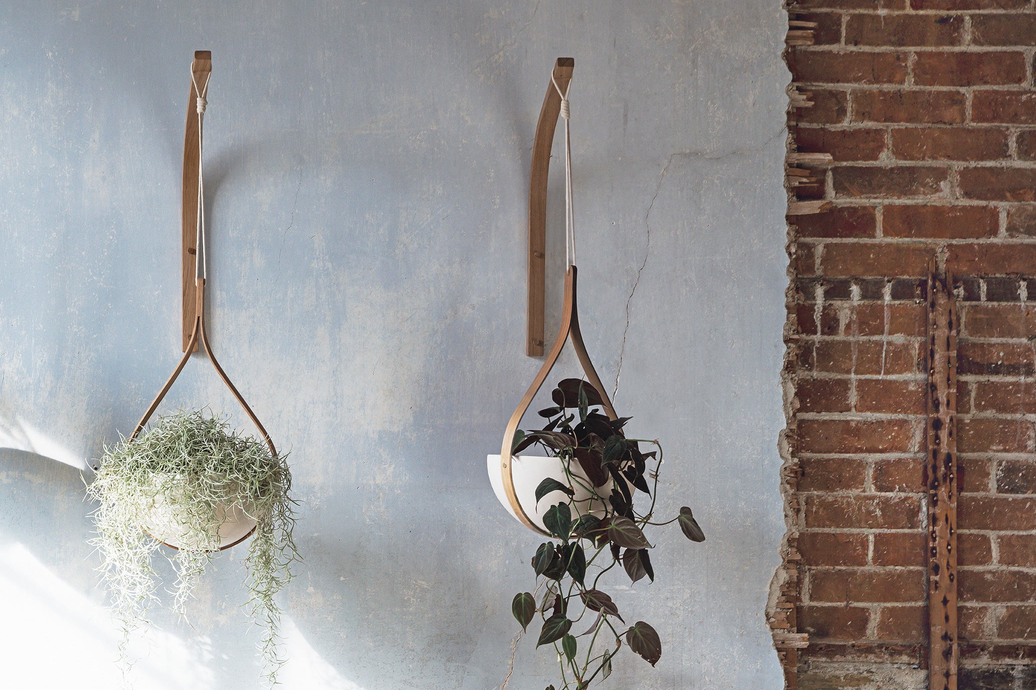 Morvah Wall Hanging Planter – Tom Raffield